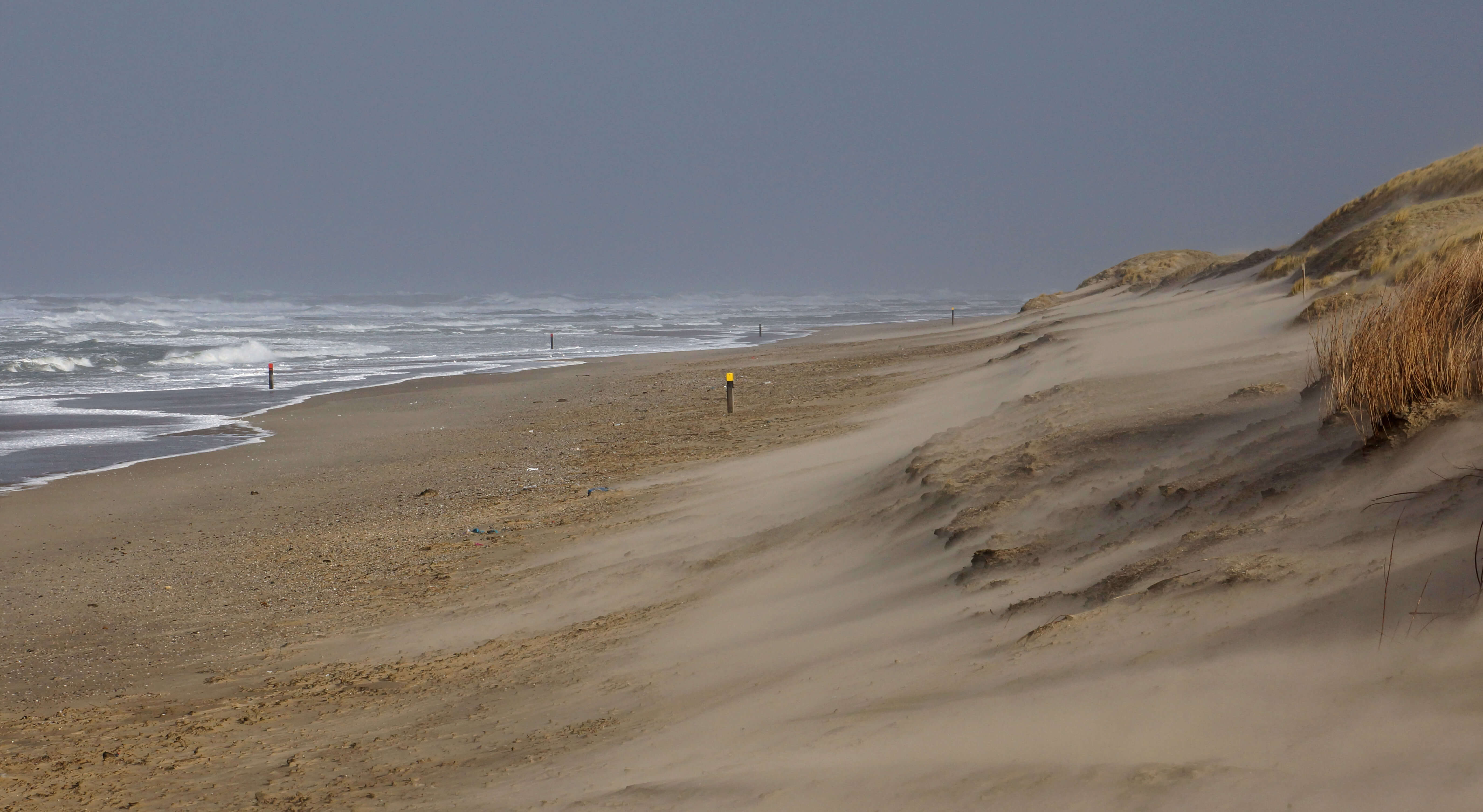 Strandgut sammeln
